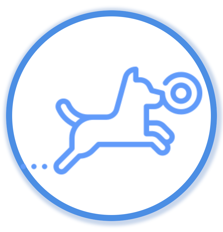 PawPadsRx - Dog Paw Protection for Heat, Cold, and Traction