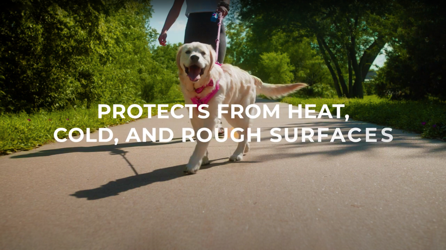 PawPadsRx - Dog Paw Protection for Heat, Cold, and Traction
